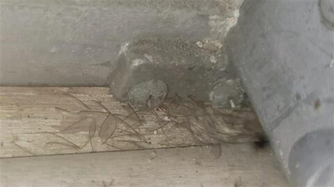 Sample Reports | 20/20 Inspection Services